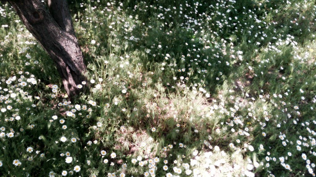 tetten ért magad | SZMSZ (Szabad Magyar Szó)