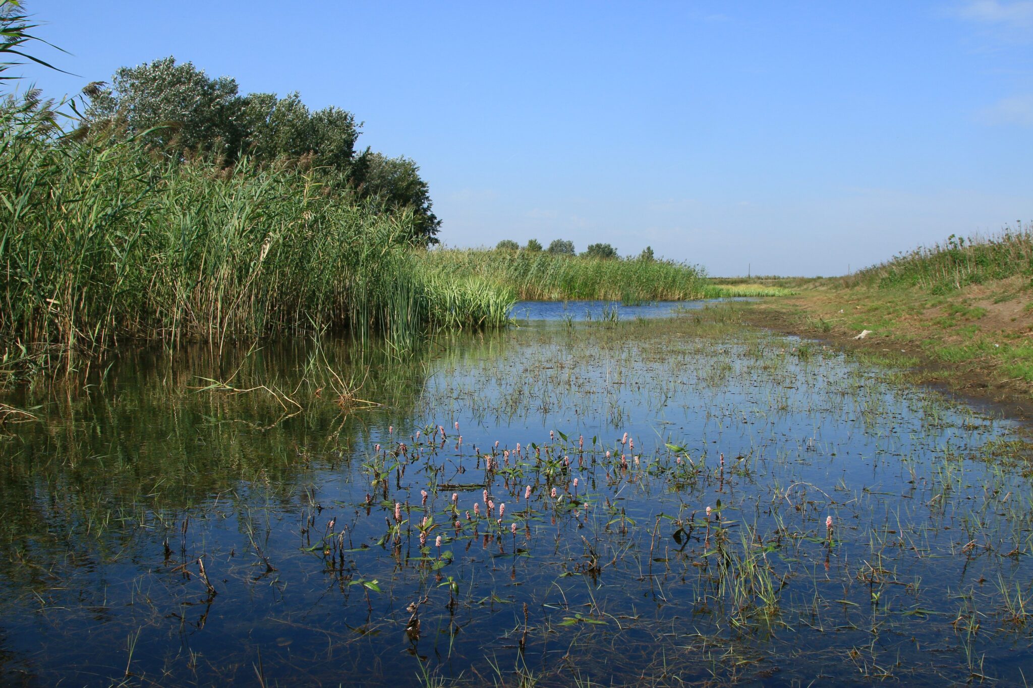 Tudtuk, hogy ez lesz, mégsem tettünk semmit | SZMSZ (Szabad Magyar Szó)