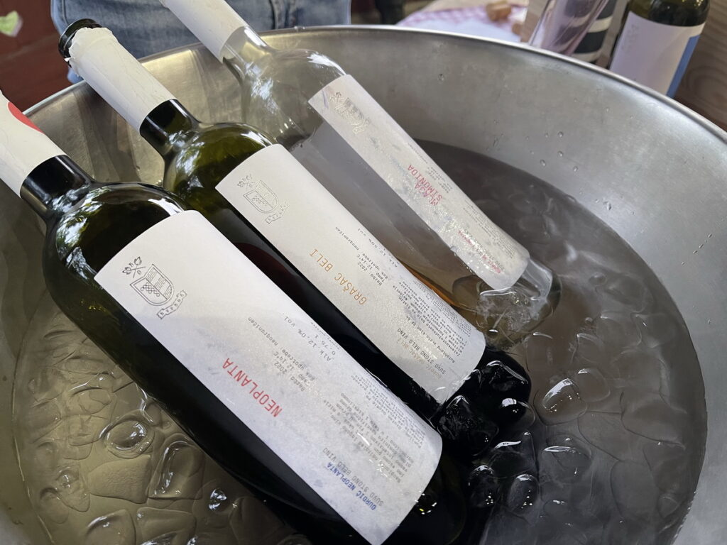 Kiváló borok a második WineSu borszalonon, Palicson (Galéria) | SZMSZ (Szabad Magyar Szó)